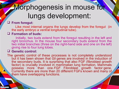 Morphogenesis Ppt