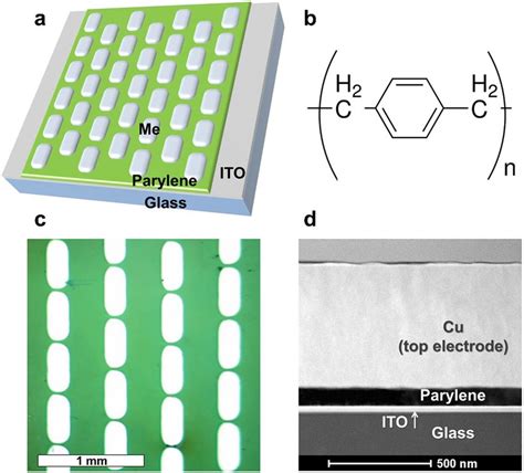 A Scheme Of The M Ppx Ito Memristive Structure B Parylene N Repeat Download Scientific