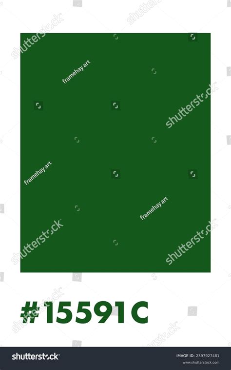 Color Palette Background Color Hex Color Stock Vector Royalty Free