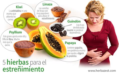 5 Hierbas Para El Estreñimiento Herbazest