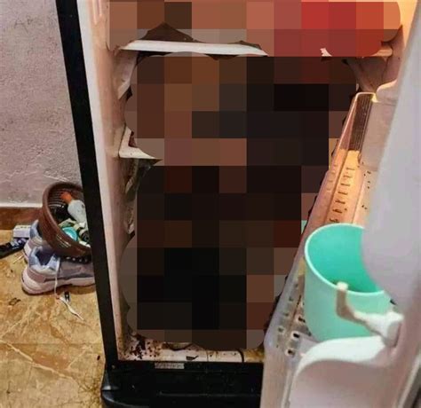 Body Of Woman 29 Found Chopped Up And Stacked In Her Own Fridge