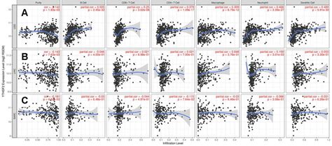 Correlation Of Ythdf2 Expression With Immune Infiltration Level In A Download Scientific
