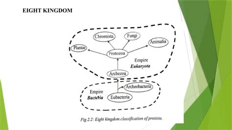 Classification Of Microorganisms By Spoorthi S Sadar Pptx