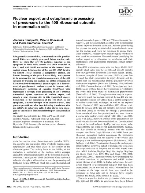 Pdf Nuclear Export And Cytoplasmic Processing Of Precursors To The