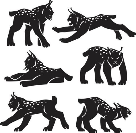 Best Lynx Illustrations Royalty Free Vector Graphics And Clip Art Istock
