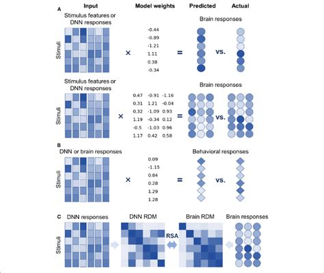 Dnnbrain Provides Multiple Approaches To Explore Internal