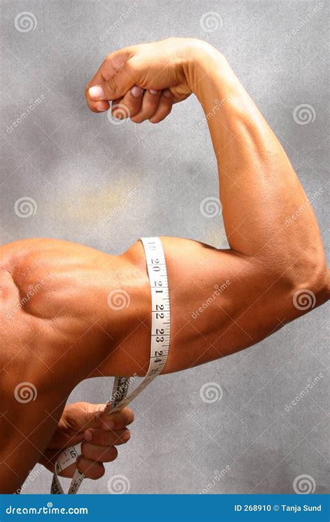 Wachsen Sie Ihren Muskel Stockfoto Bild Von Messen Mann 268910