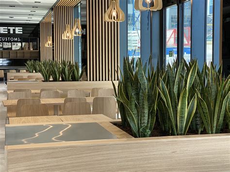 Проекти за интериорно и екстериорно озеленяване Навън