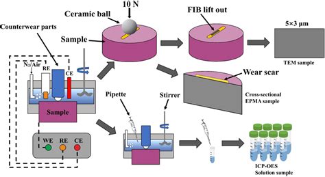 Schematic Diagram Of Experimental Method Download Scientific Diagram