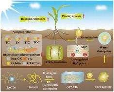 Environmental Science Nano X Mol