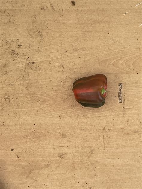 Peppers Object Detection Dataset By Deluxeviper