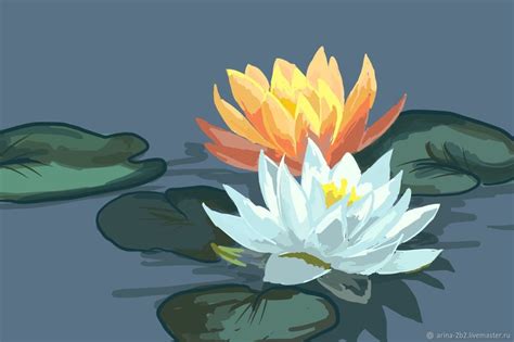 Рисунок кувшинки на воде 74 фото