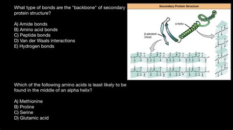 Nikolays Genetics Lessons On Linkedin Protein Secondary Structures