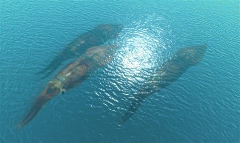 This Gigantic “crushed Squid” Grew Up To 33 Feet And Could Have Easily