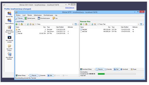 Bitvise Ssh Server Review Software Portal