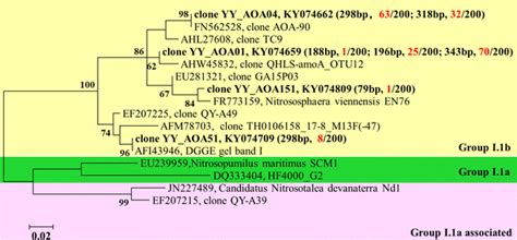 Maximum Likelihood Distance Tree Based On An Alignment Of Archaeal AmoA
