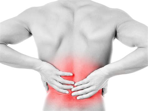 Differential Diagnosis Causes Of Back Pain Backache