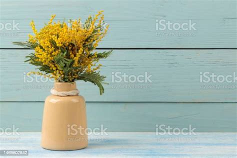 파란색 나무 배경에 세라믹 꽃병에 노란 미모사의 아름 다운 꽃입니다 무료 장소 0명에 대한 스톡 사진 및 기타 이미지 0명