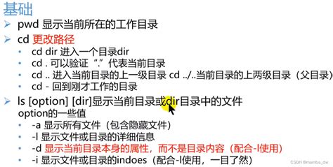掌握文本查看：基础操作与实践指南 Csdn博客