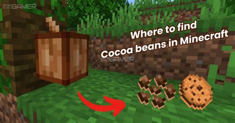 How To Obtain And Use Cocoa Beans Minecraft