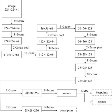 Convolutional Neural Network Structure Diagram Download Scientific Diagram