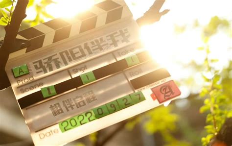 骄阳伴我 2023 全集 带字幕 爱奇艺 Iqiyi