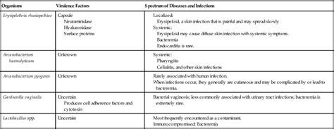 Erysipelothrix Lactobacillus And Similar Organisms Clinical Gateclinical Gate