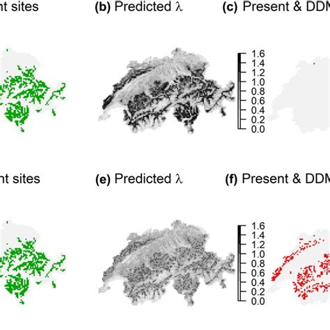 Maps Of Occupancy And Predicted Population Growth Rate λ From The