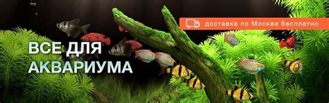 Продажа аквариумов, оборудования для аквариумистики, установка ...