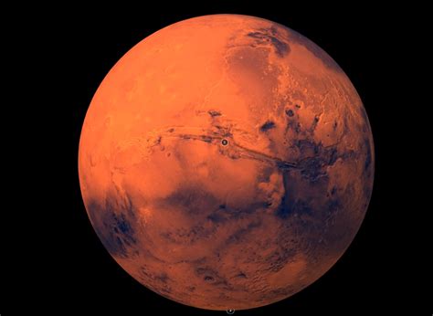 火星球体3d模型 火星3d游戏模型 北极熊素材库