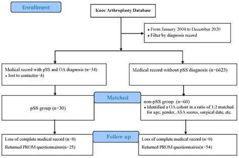 Flow Chart Abbreviations Pss Primary Sjögrens Syndrome Oa