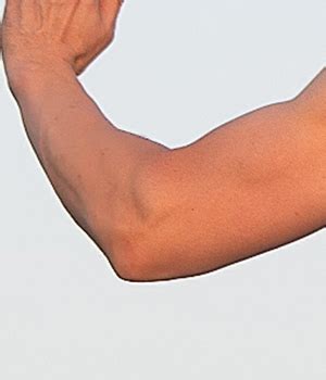 The Meaning And Symbolism Of The Word Elbow