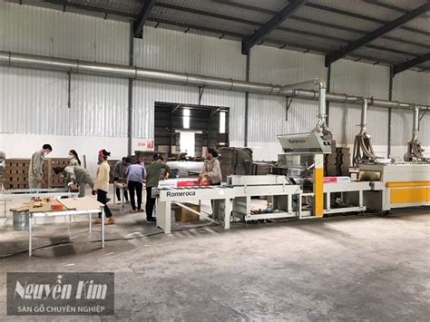 Quy trình sản xuất gỗ công nghiệp ván ép mới nhất