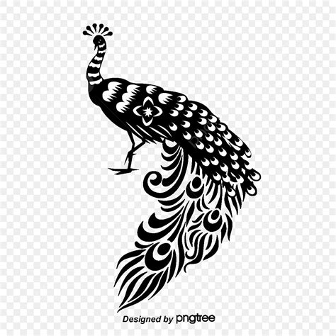 Download 20 Peacock Vector