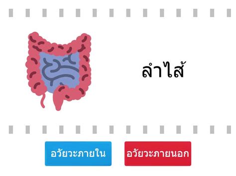 อวัยวะภายใน หรือ อวัยวะภายนอก จริงหรือเท็จ