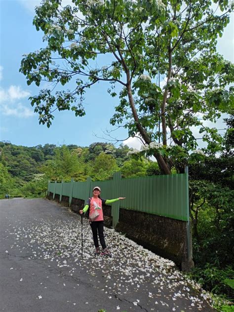 小百岳集起來 017 二格山登山步道 栳寮線 猴山岳步道草湳 健行筆記