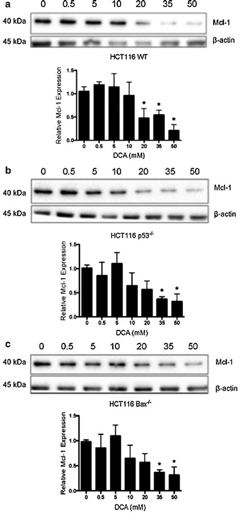 Representative Western Blots And Densitometry Showing The Inverse