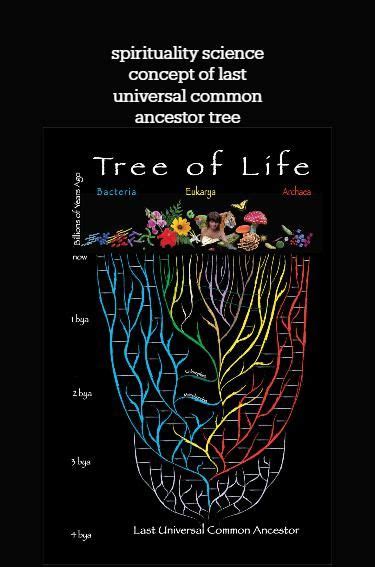 Spirituality Science Concept Of Last Universal Common Ancestor Tree