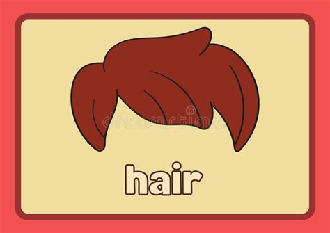 Red And Yellow Hand Drawn Body Parts Flashcard 13 Stock Illustration Illustration Of Hand