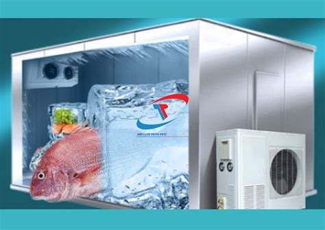 Kho Đông Lạnh Là Gì Lắp Đặt Kho Lạnh Và Phòng Sạch