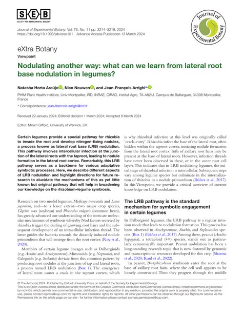 Pdf Nodulating Another Way What Can We Learn From Lateral Root Base Lrb Nodulation In Legumes