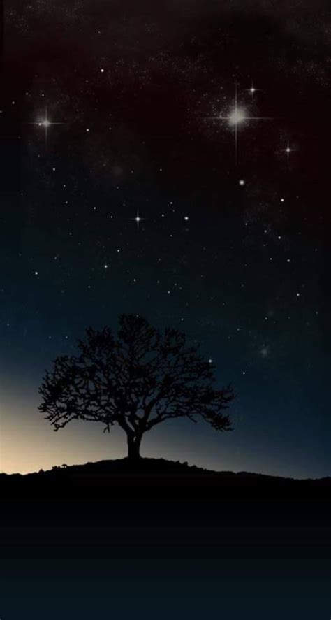 星空下的樹 捕捉天空的河流銀河美圖大募集 Digiphoto