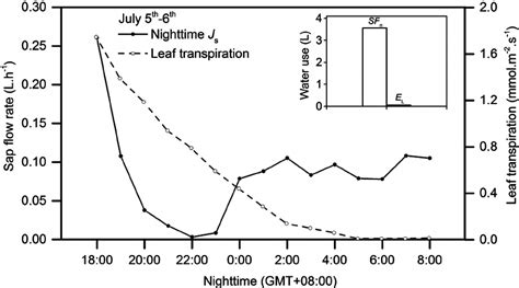 Dynamics Of Nighttime Sap Flow Rate And Leaf Transpiration Rate Of H