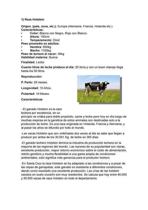 Raza Holstein Razas De Ganado Raza Holstein Origen País Zona Etc Europa Alemania