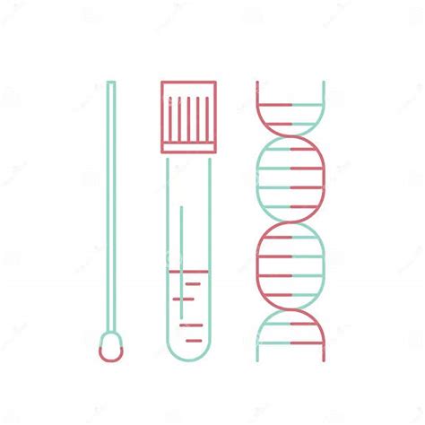 Dna Herediteitstest Verslag Over De Persoonlijke Genetische Analyse