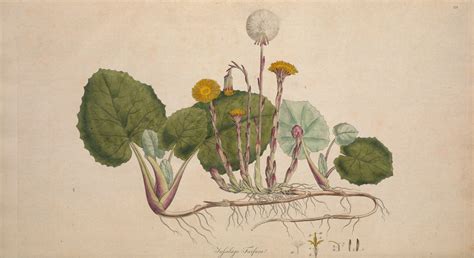 Website Template Simple Folder Style Html Css Home Page