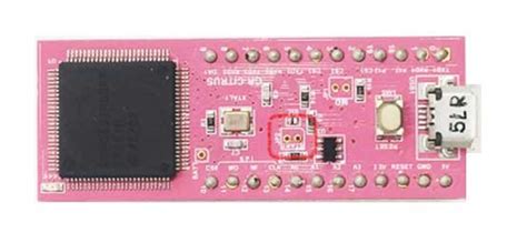 Gr Citrus Special Project Sketch With Web Compiler Renesas