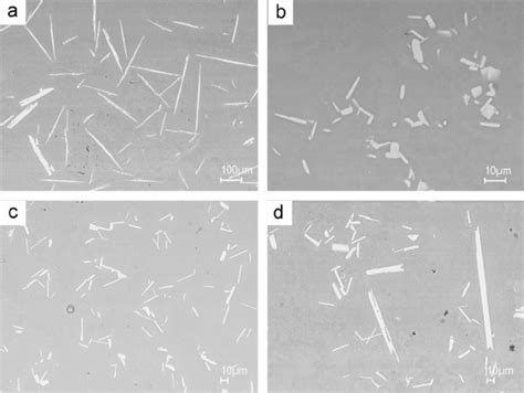 Typical Sem Bse Micrographs Of The Primary Al 3 Ti Intermetallic