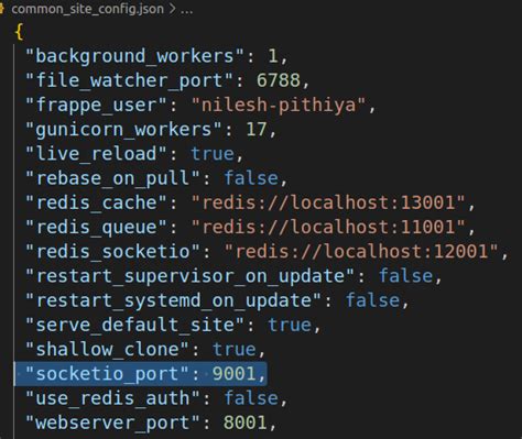 How Can I Use Socket Io In Other Frontend Like Vue App Development