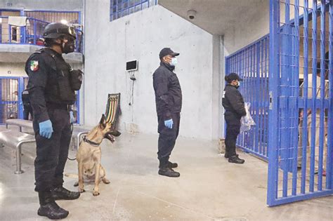 Detector de narcóticos en el penal de Tanivet lleva 7 años abandonado